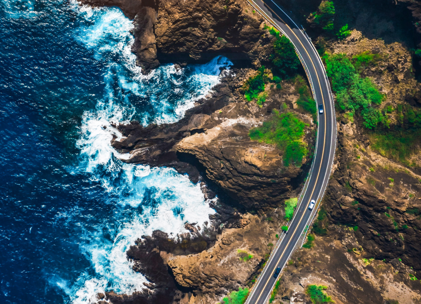 Loyalty | ATD Corporate Site